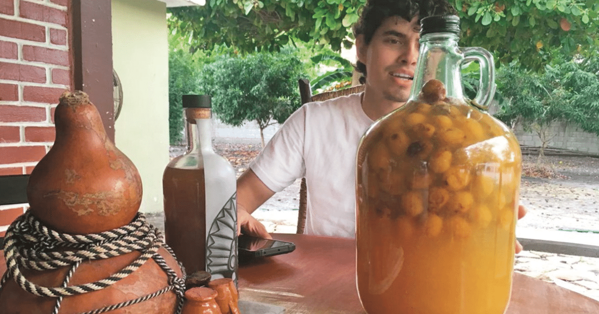 El agua de jobo, una bebida refrescante y poco conocida en Veracruz - El Momento Campeche