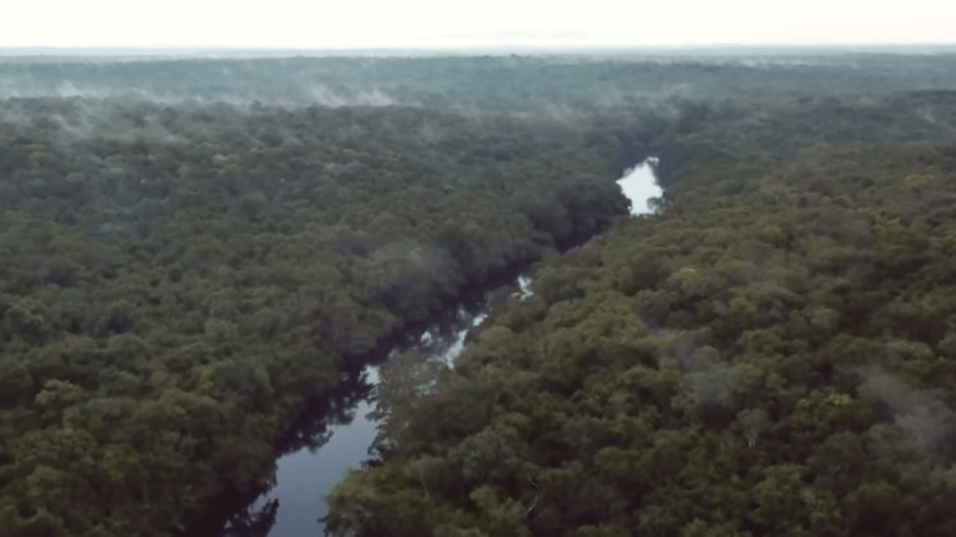 Balam Beh: ejemplo nacional de restauración ambiental desde Campeche