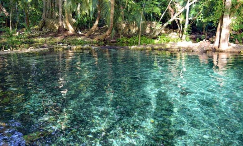 El encanto oculto de Hampolol: Ojo de agua que guarda la frescura de ...